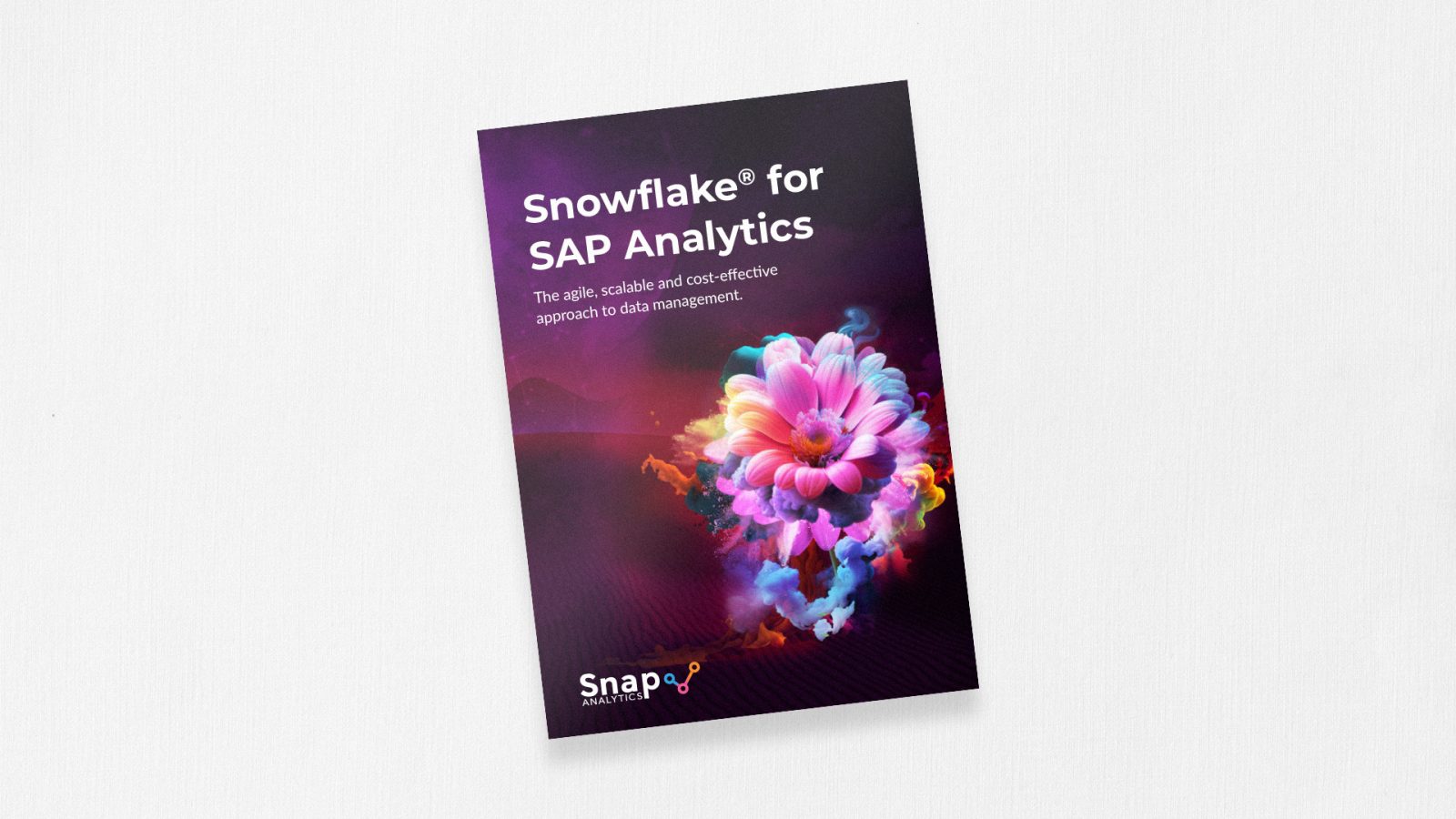SAP - Snap Analytics